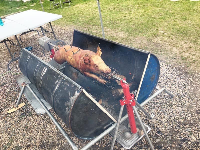 10 Things to Avoid When Roasting a Pig Over Charcoal or an Open Fire ...